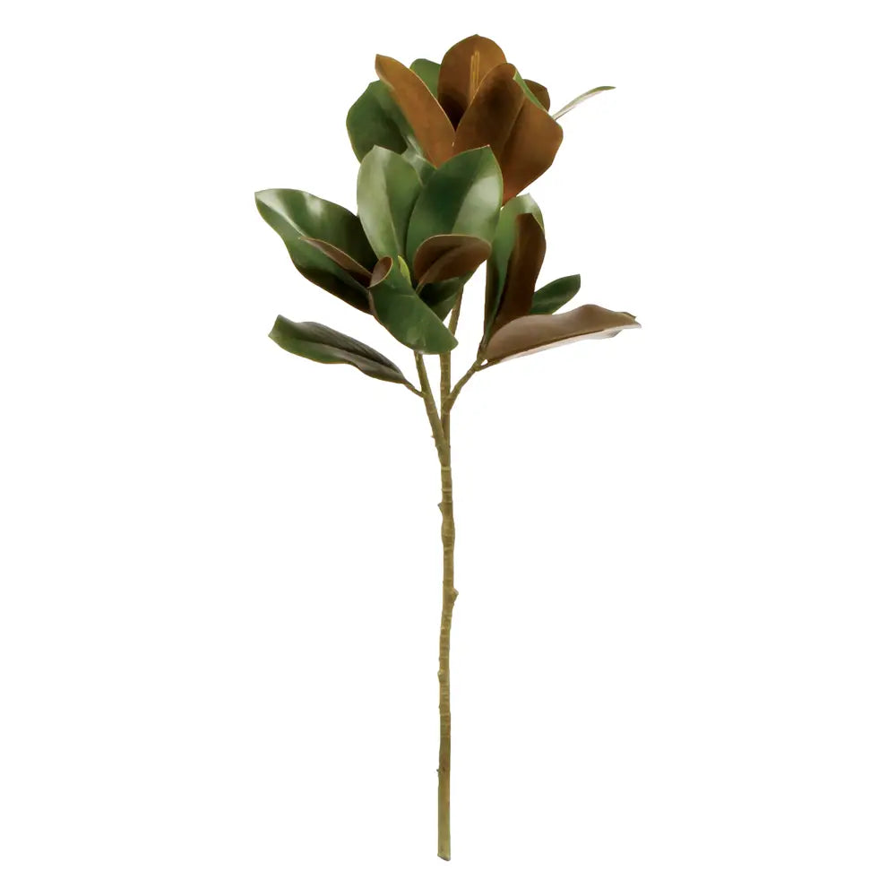 Grand Magnolia Leaf Stem 32"