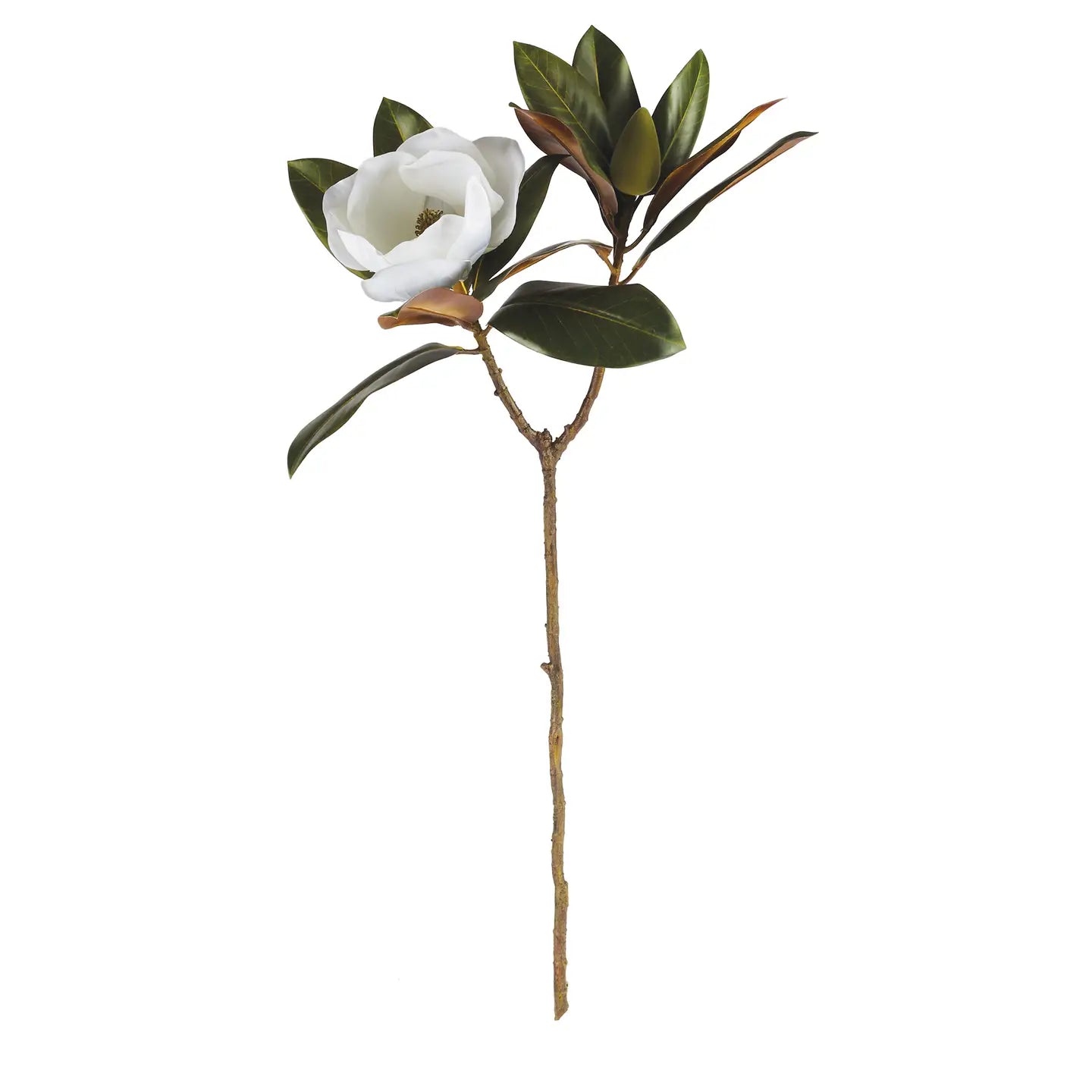 Magnolia Stem 31"